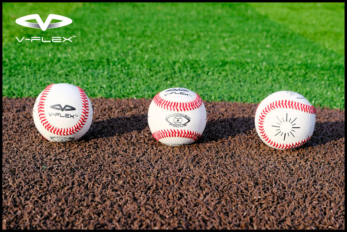 Focus Baseball - V-Flex Sports