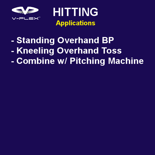 Batting Practice Strike Recognition Trainer - V-Flex Sports