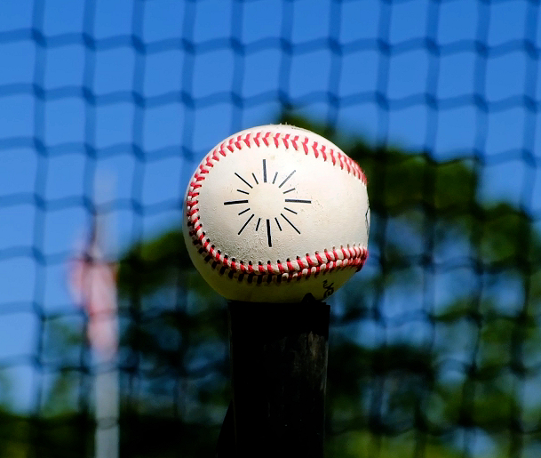 Focus Baseball - V-Flex Sports