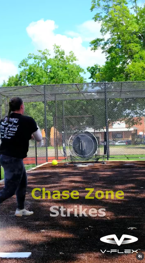 Strike Zone Trainer - V-Flex Sports